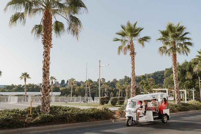 Express Tour of Malaga in Private Eco Tuk Tuk - Who Is This Tour Best For?