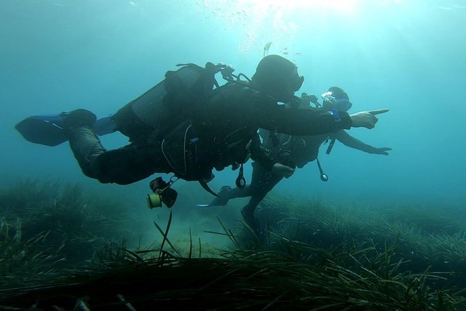 First scuba diving experience with instructor - Malta - The Value of This Tour