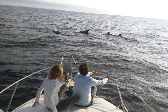 Fishing trip, Tenerife Sea Passion - The Small Harbor Advantage