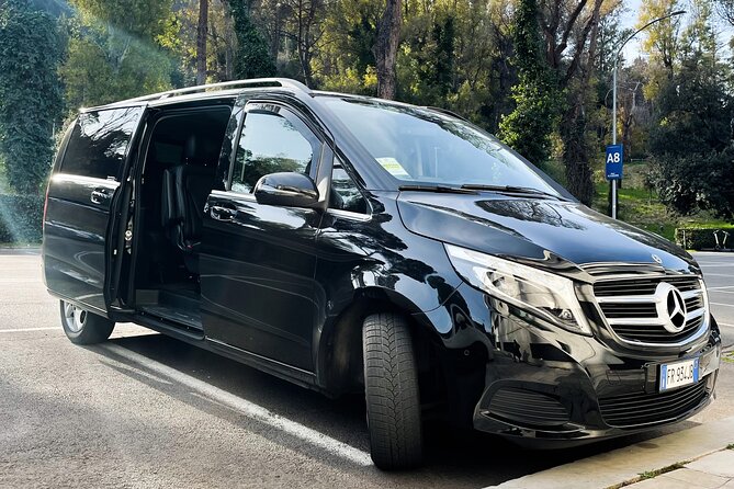 Fiumicino Airport (FCO) to Rome - Private Arrival Transfer - The Practicalities