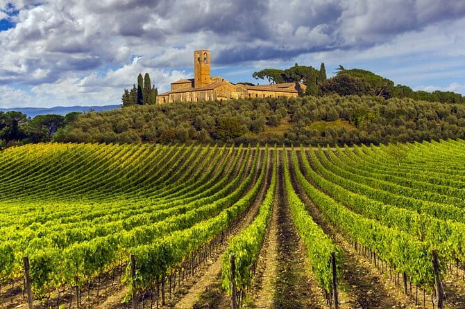 Florence Food Tour: Home-Made Pasta, Truffle, Cantucci, Olive Oil, Gelato - Who Will Love This Tour?