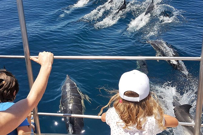 From Lagos: Dolphin Watching Cruise on a Catamaran - The Experience for Different Travelers