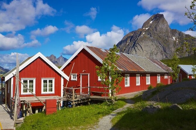 From Leknes port: Special Summer Guided Tour of Lofoten - What You Can Expect from the Experience
