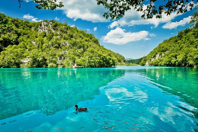 From Split: Plitvice Lakes National Park Guided Tour - Final Thoughts