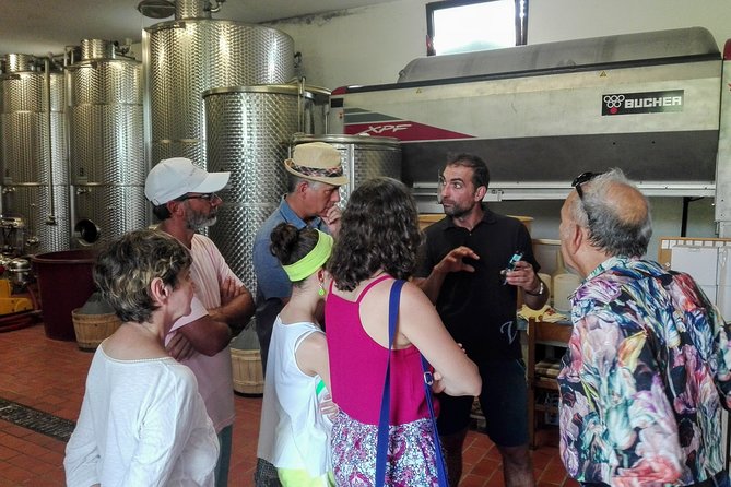 From Venice : Wine and Food tour in the Prosecco Hills - Return Journey & Final Impressions