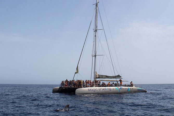 Fuerteventura: Magic Select Catamaran Trip with Food & Drinks - Final Thoughts