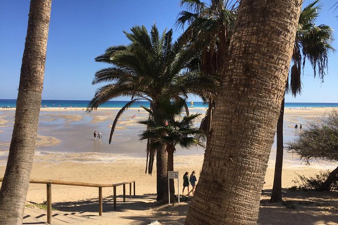 Fuerteventura South Exclusive Tour - Final Thoughts
