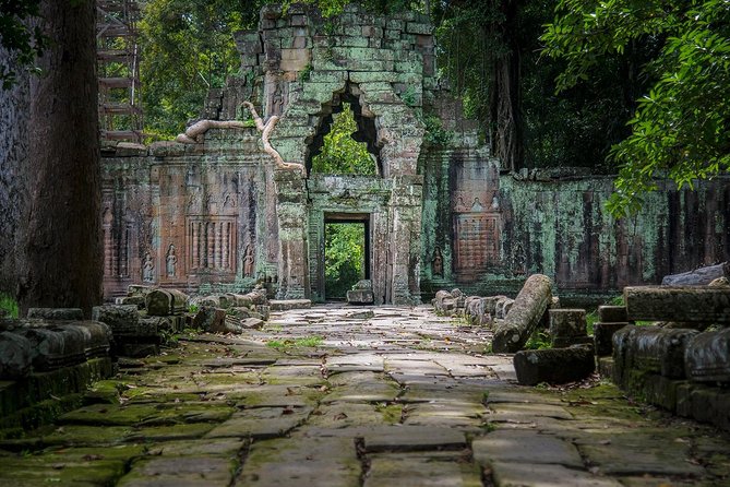 Full-Day Angkor Wat Sunrise Private Tour with Guide from Siem Reap - Ta Prohm: Jungle Meets Mystery