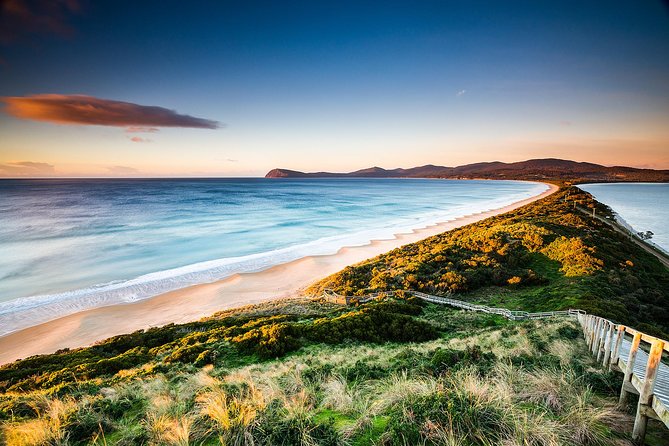 Full-Day Guided Bruny Island Tour from Hobart - Final Thoughts