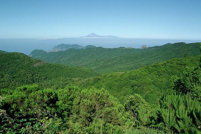 Full Day Guided Tour to La Gomera from Tenerife - Practical Tips for Making the Most of This Tour