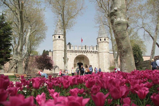 Full Day Highlights of Istanbul Old City incl Lunch & Tickets - What the Reviews Reveal