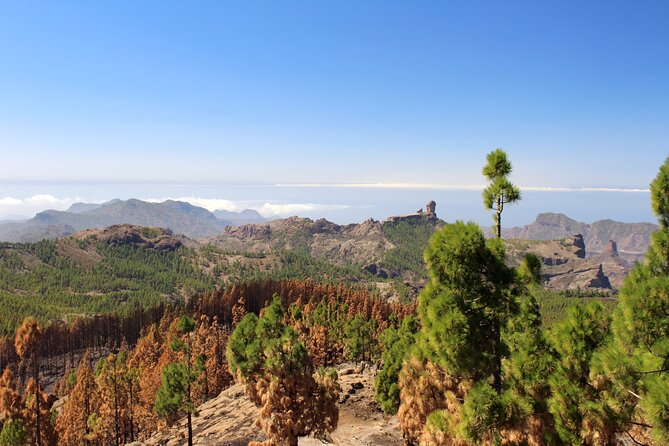 Full day Hiking Gran Canaria Peaks of Gran Canaria - The Cost and Value