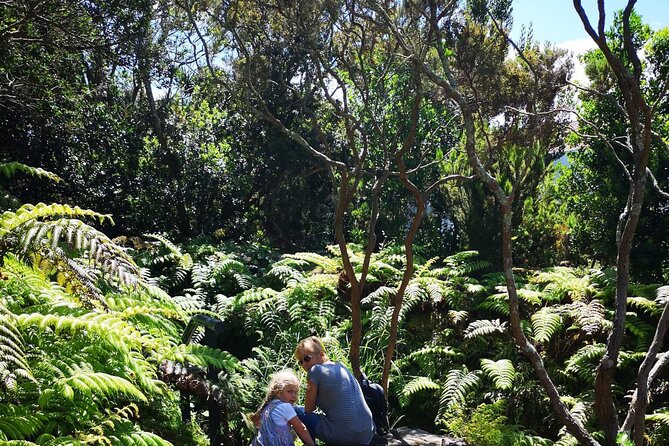Full-Day Private Tour of Faial - FAQ