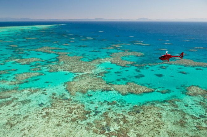 Full Day Reef Cruise and 10 Minute Helicopter Scenic Flight - Authentic Experiences from Previous Travelers