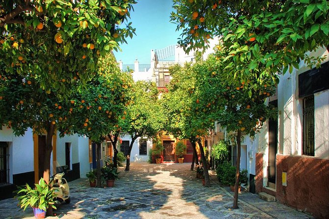 Full Day Seville Tour with tickets (optional Tapas & Flamenco) - The Practicalities: What to Expect