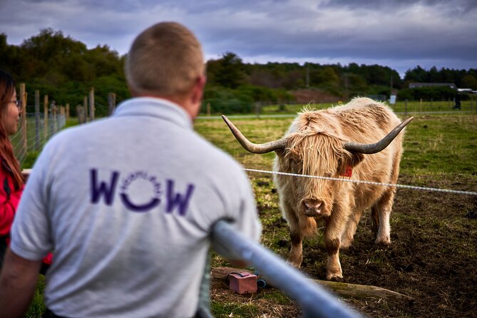 Full-Day Tour of Scotland from Invergordon - Who Will Love This Tour?
