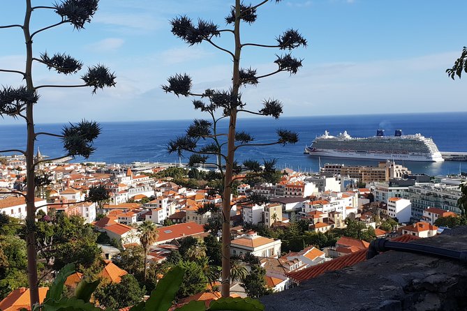 Funchal City Tour + Old Town - What Travelers Love