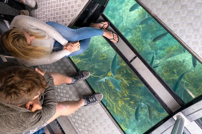 Glass Bottom Boat Whitianga Cathedral Cove Cruise - Who Is This Tour Best For?