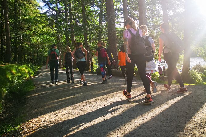 Glendalough Night Hike and History Tour - Who Is This Tour Best For?