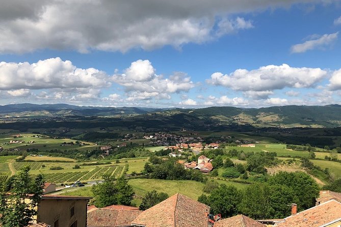 Golden stones Beaujolais Wine Tour with Tastings from Lyon - Final Thoughts