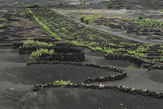 Grand Tour Lanzarote Experience: the footprint of the landscape - FAQs