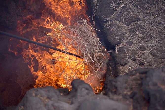 Grand Tour to Timanfaya and Jameos del Agua for cruise passengers - Final Thoughts: Is This Tour for You?