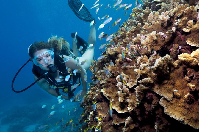 Great Barrier Reef Full Day Tour from Cairns - FAQ about the Great Barrier Reef Full Day Tour from Cairns