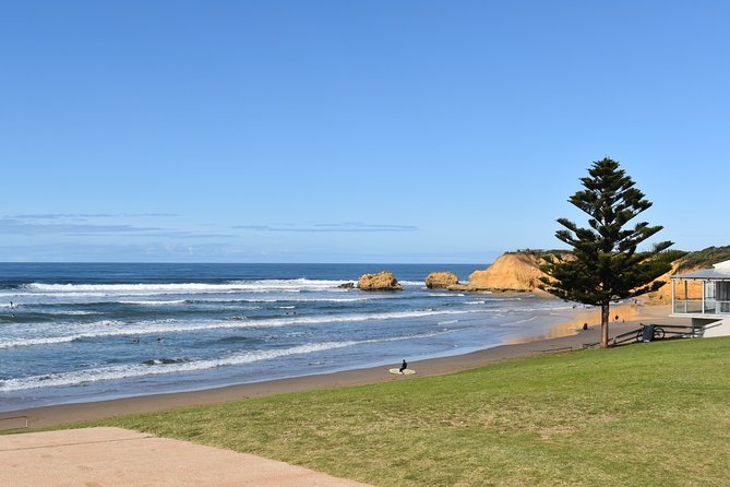 Great Ocean Road Tour Plus Koalas, Forest Walk and Morning Tea - Who Would Enjoy This Tour?