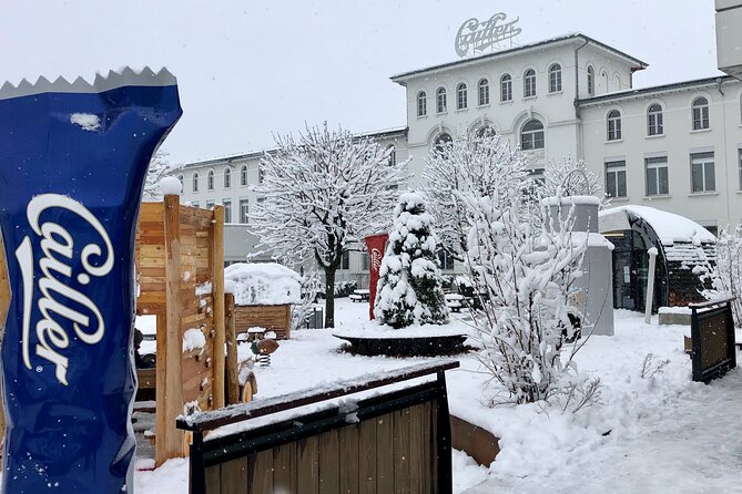 Gruyère Cheese and Chocolate Tasting Day Trip from Geneva - Why This Tour Offers Great Value