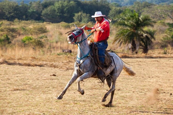 Guachipelin Adventure Volcano Zipline Horseback River Tubing Combo - The Ziplining Adventure: Thrills in the Canopy