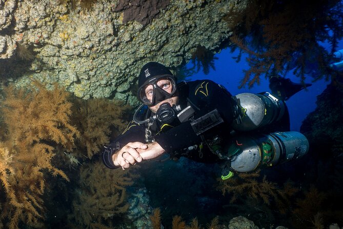 Guided Boat Dives for Certified Divers - FAQs