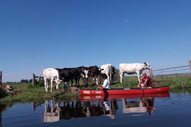 Guided Canoe Adventure with Picnic Lunch in Waterland from Amsterdam - The Value of This Experience