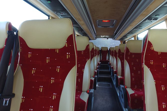 Guided Day Tour of Giant's Causeway from Belfast by Comfortable Coach - Who Is This Tour Best For?