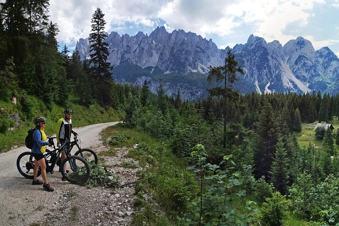 Guided e-bike tour of the alpine pastures in the Salzkammergut - Authentic Experiences from Reviewers
