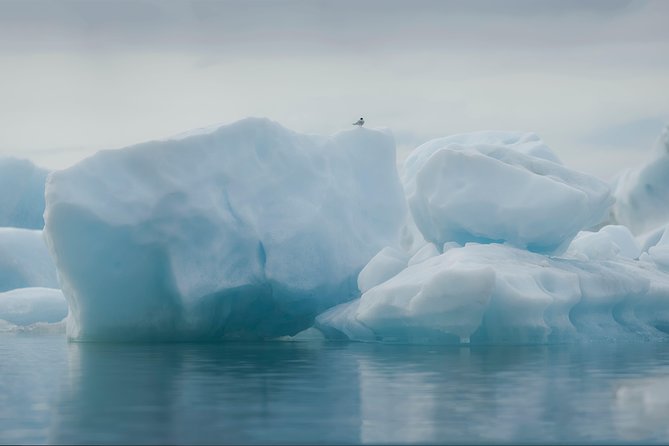 Guided Glacier Lagoon and Diamond Beach Day Trip from Reykjavik - The Sum Up