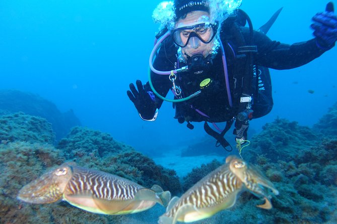 guided Scuba Diving on Tenerife (for certified divers) - Authentic Experiences and Local Knowledge