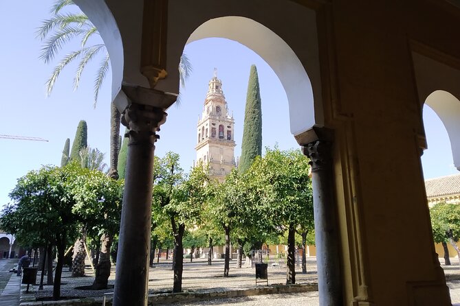 Guided tour of the Mosque-Cathedral of Cordoba in Spanish - Unmatched Views & Photographic Opportunities