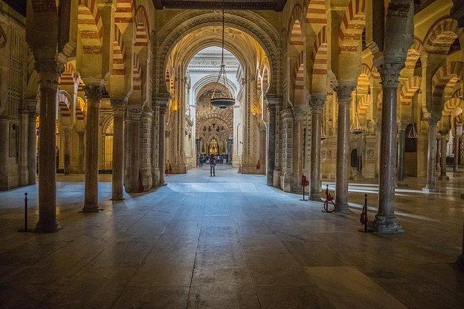 Guided tour of the Mosque with entrance included - What Travelers Say