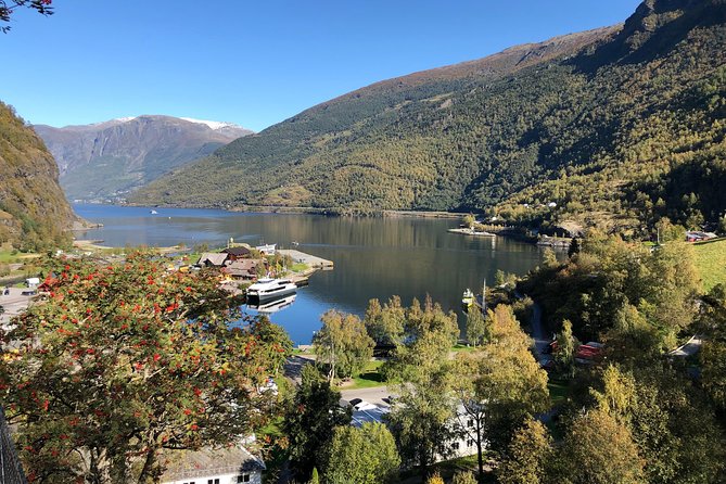 Guided Tour To Nærøyfjorden, Flåm And Stegastein - Viewpoint Cruise - FAQs