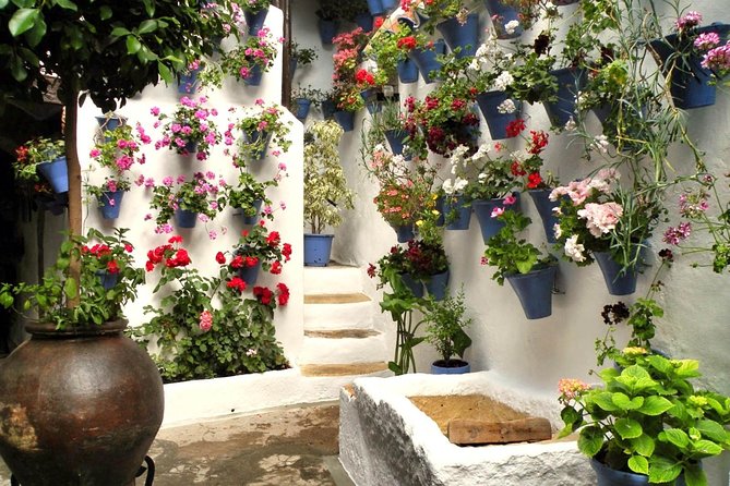 Guided Tour to the Popular Patios of Cordoba - Who Should Consider This Tour