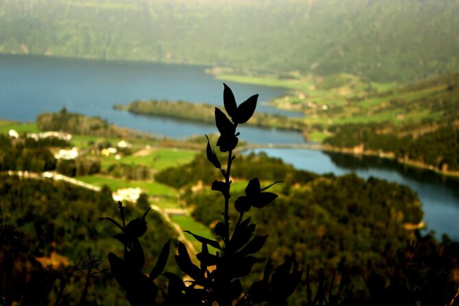 Half-Day 4x4 Tour to Lagoa das Sete Cidades - What to Expect in Terms of Logistics