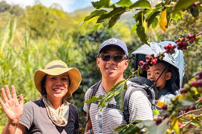 Half-Day Coffee Tour: From the Seed to the Cup, Farm & roastery - Who Will Love This Tour?