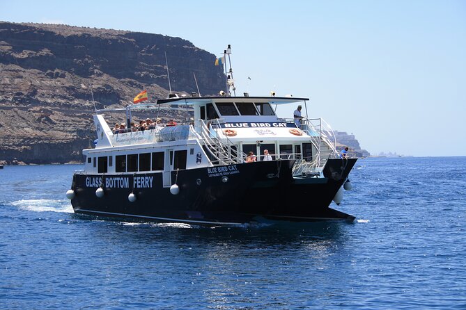 Half-Day Cruise Tour-Dolphin and Whale Watching - The Stopover: Swim and Snorkel at Cala del Perchel, Taurito, Tauro, or Anfi del Mar