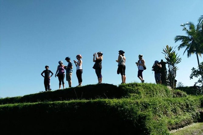 Half-Day Electric Cycling Tour of Ubud - Practical Details
