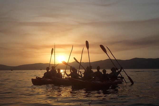 Half-Day Split Sea Kayak Adventure - The Paddling Itself: Is It Easy?
