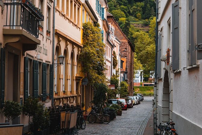 Heidelberg Castle and City Day Tour from Frankfurt - The Sum Up