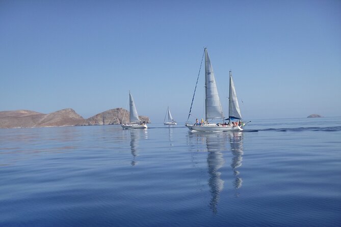 Heraklion: Nature Reserve Full day sailing to Dia Island & Lunch - The Practicalities & Price
