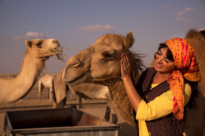High Red Dunes with Camel Ride, Sandboarding, Falcon Show and VIP BBQ Dinner - What Do Travelers Say?
