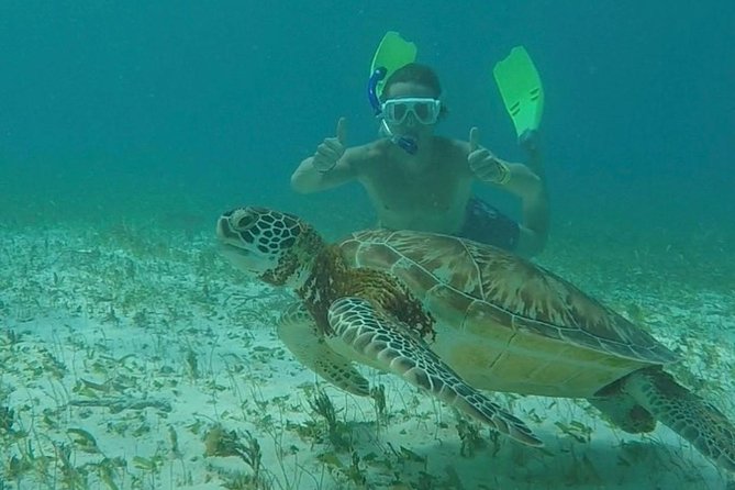 Hol Chan Full-Day Bucket List Snorkeling and Marine Life Tour - Practical Details: What Travelers Should Know