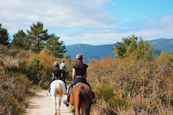 Horse Riding Madrid Natural Park - Practical Tips for Your Horseback Ride